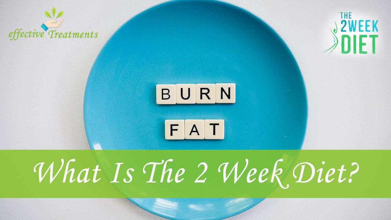 The 2 Week Diet Review - The Shocking Truth [2020 Update]