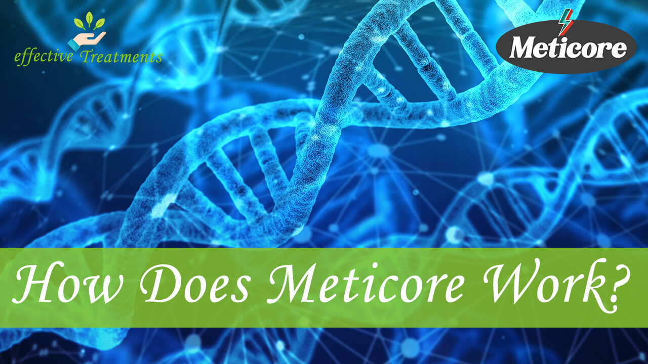 Meticore Review ™ [EXPERT Review - Updated 2022]