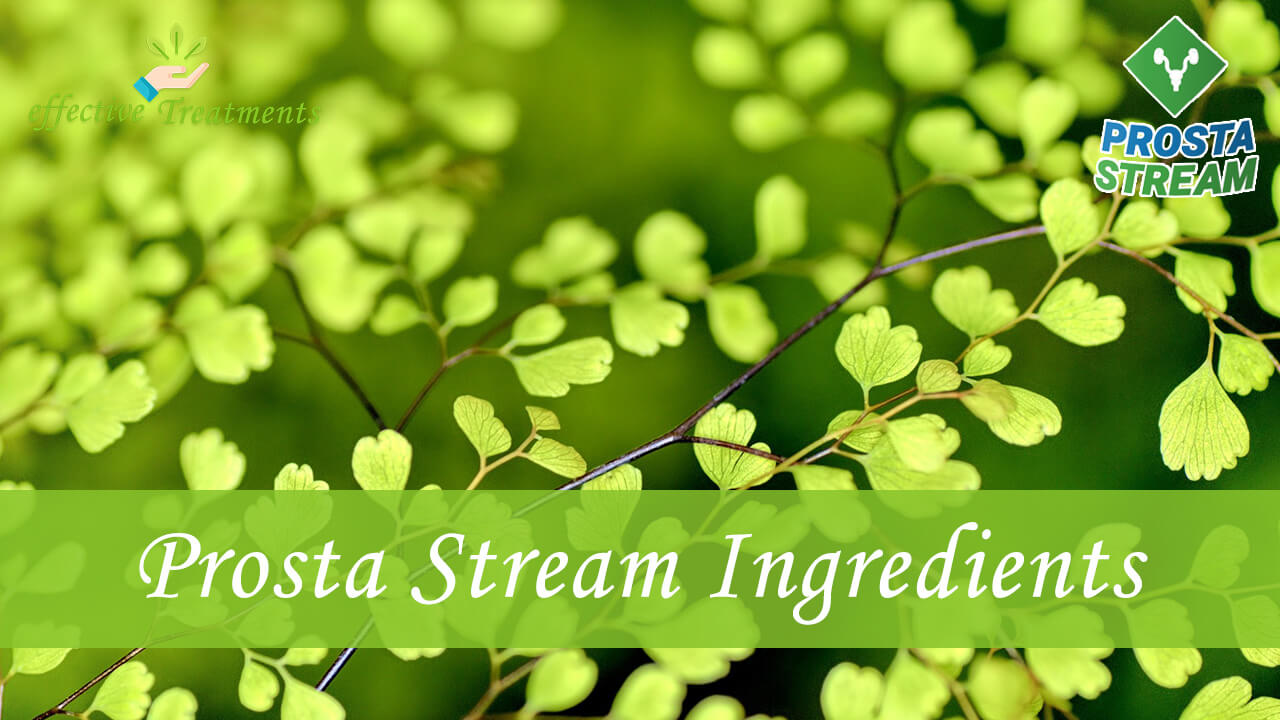 Prosta Stream Review [Expert Review + 5 Warnings + 8 Facts]