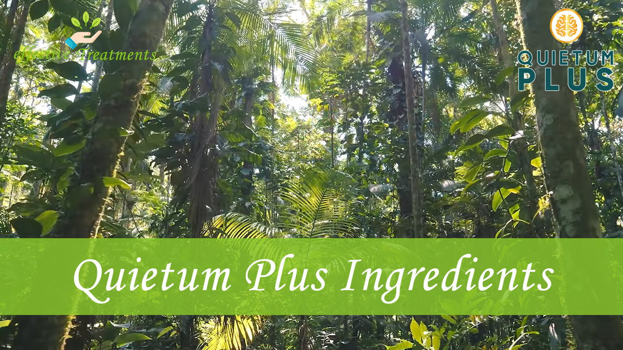 Quietum Plus Review [Expert Review + 5 Warnings + 8 Facts]