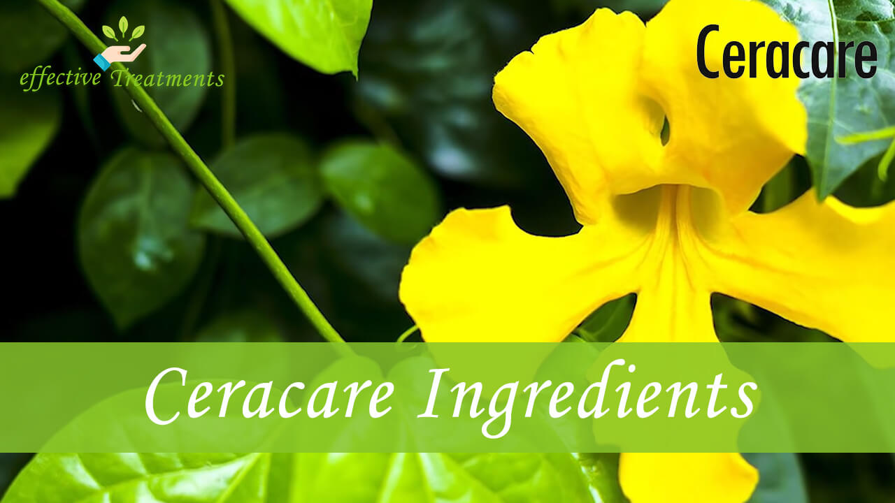 Ceracare Review For Diabetes [The STEALTHY Truth]