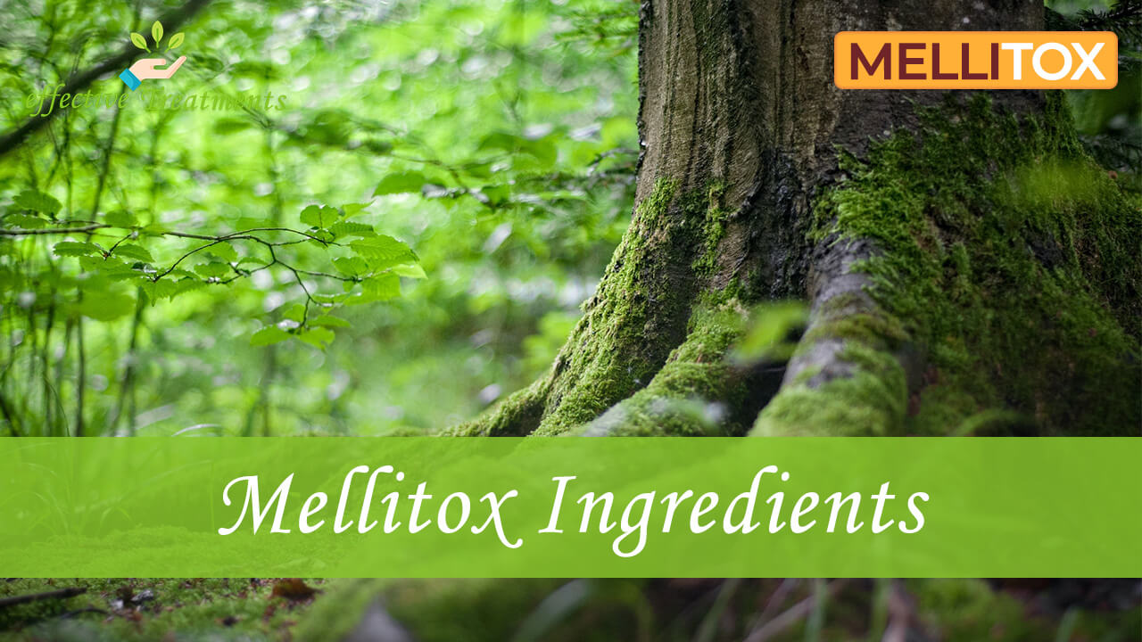 Mellitox Review For Diabetes [The STEALTHY Truth]