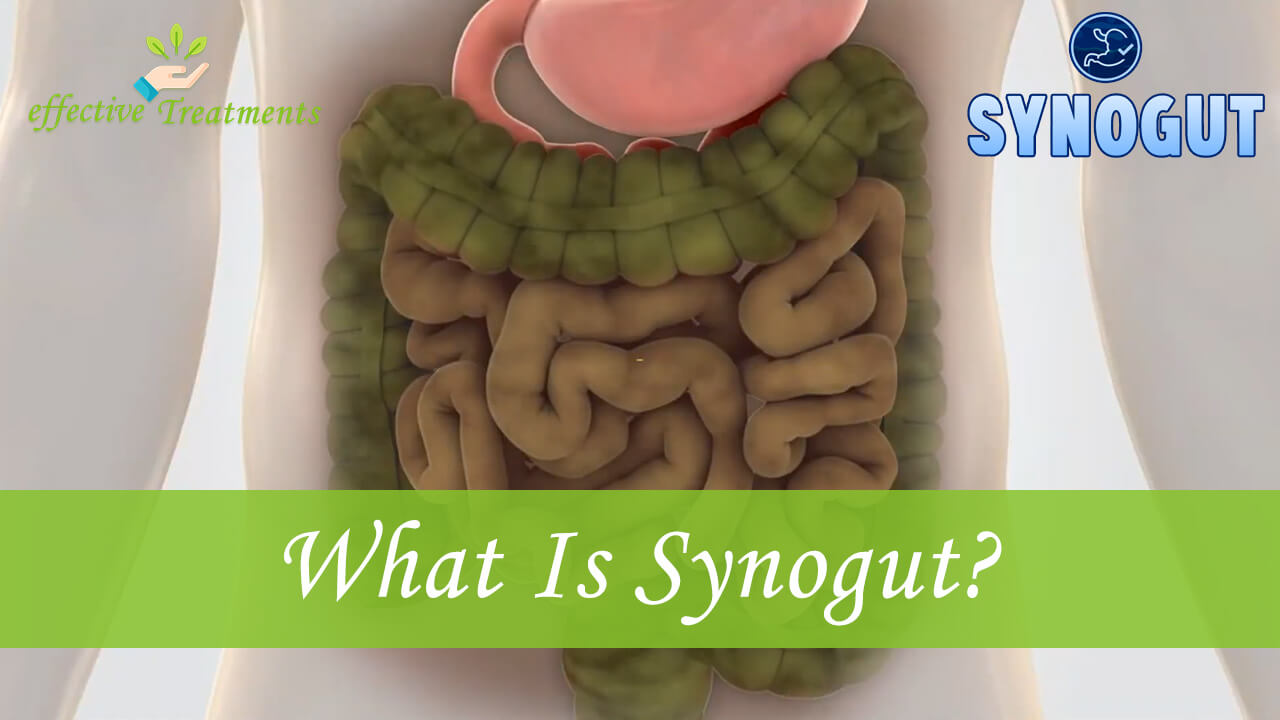 SynoGut Review [Samuel Bart - The STEALTHY Truth]