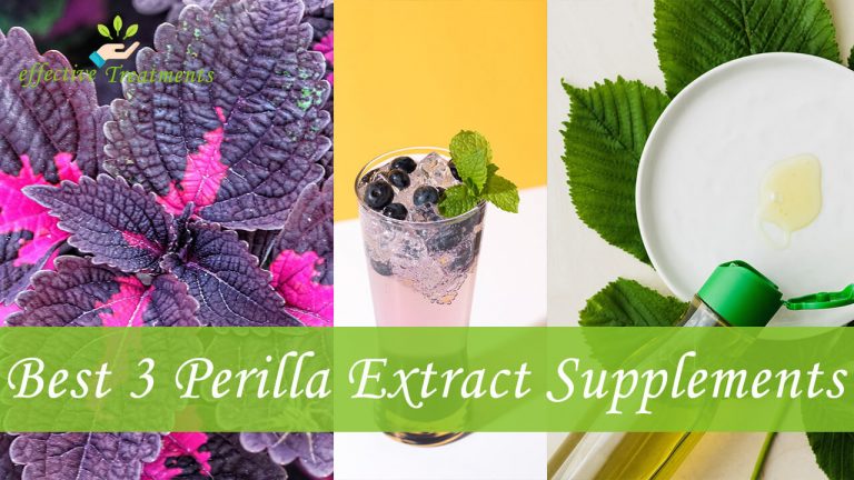The 12 Crucial Perilla Leaves Health Benefits For Your Body