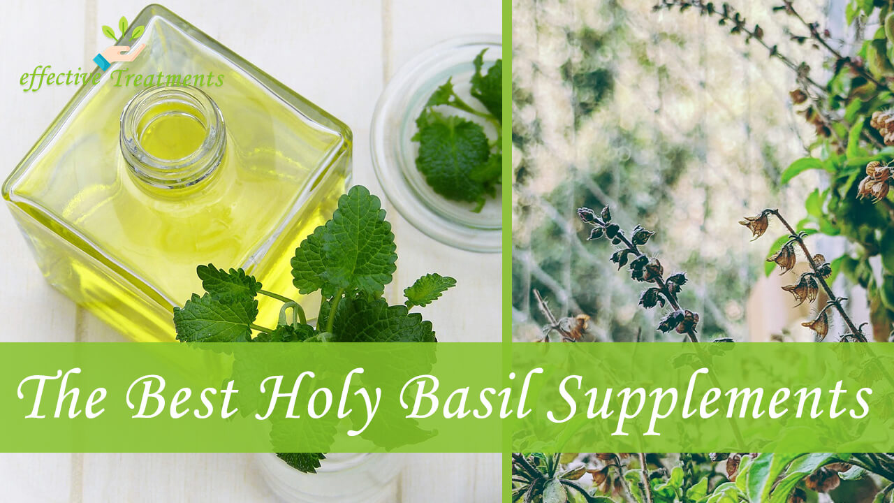The 9 Holy Basil Benefits (#8 will change your life!)