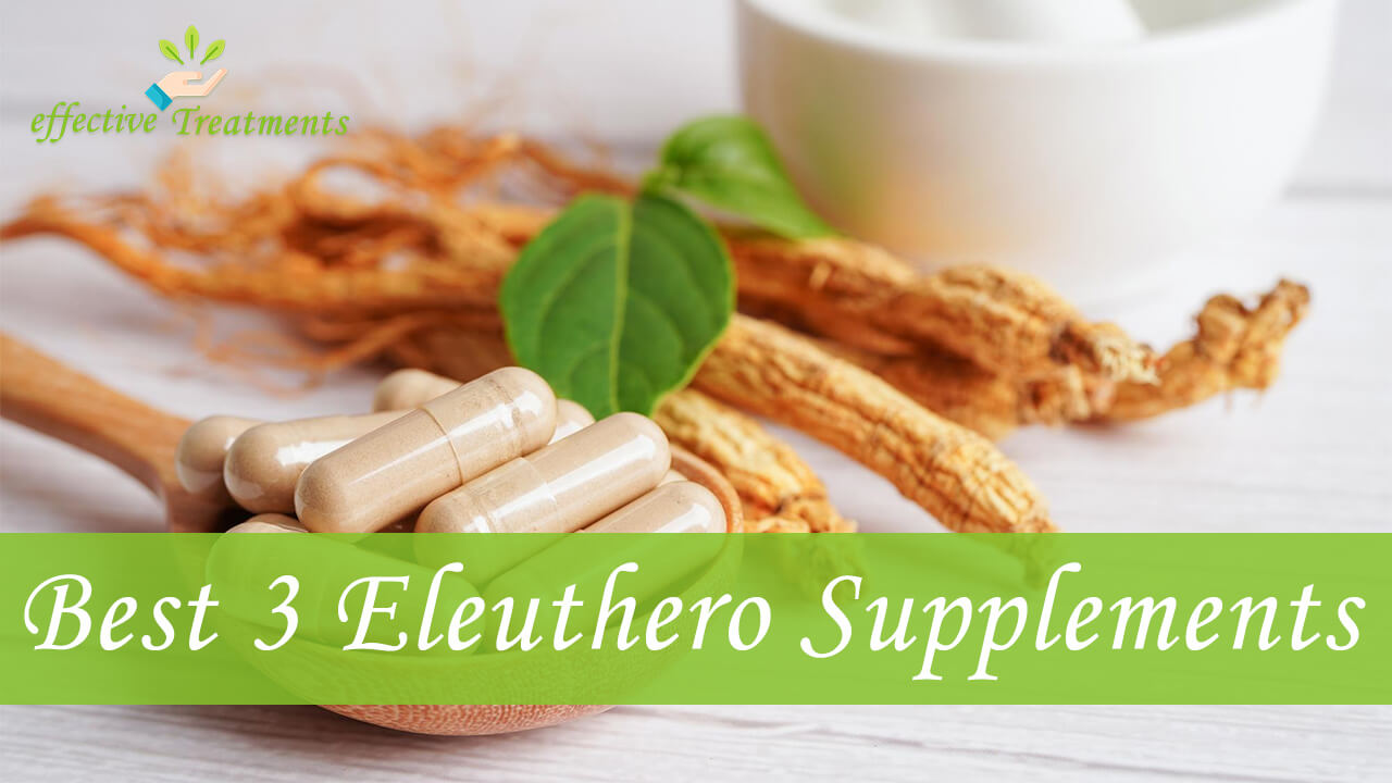 Eleuthero Plant (Siberian Ginseng): 6 Crucial Benefits