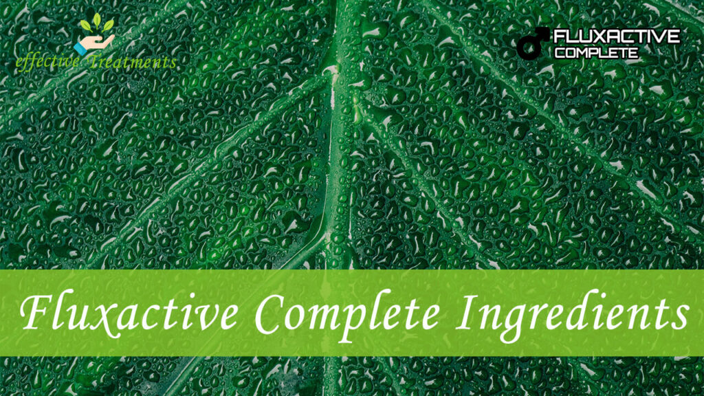 Fluxactive Complete Review [The Truth Of Benjamin Harrison]