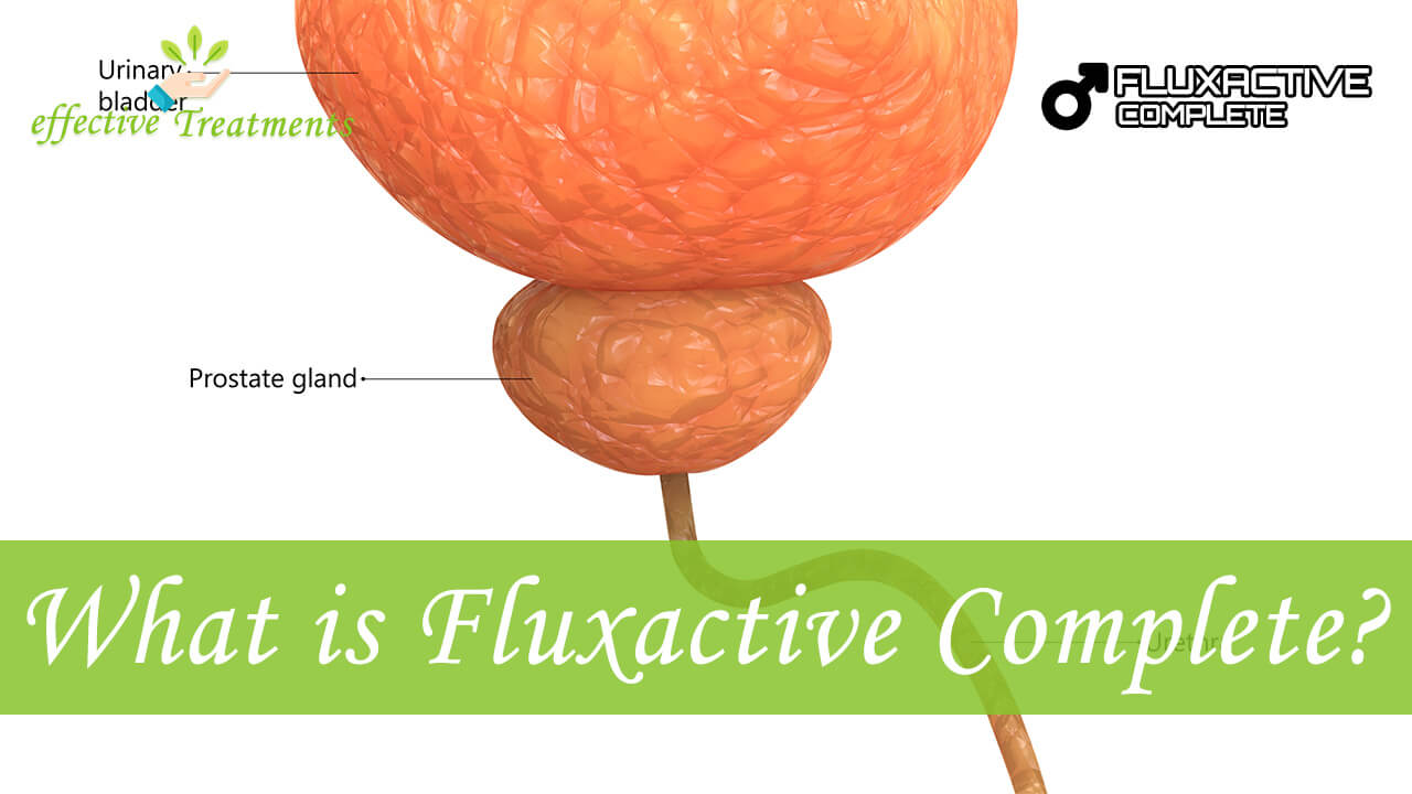 Fluxactive Complete Review [The Truth Of Benjamin Harrison]