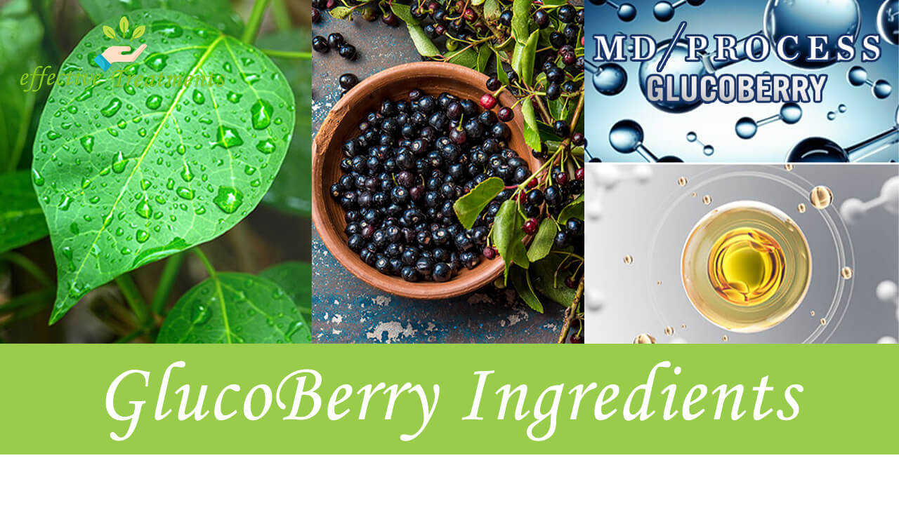 GlucoBerry Review [Truth Of Dr. Mark Weis Blood Sugar Pill]