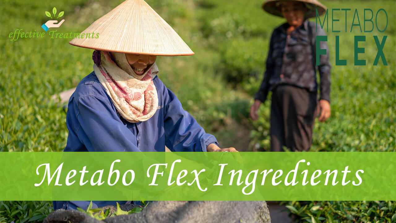 Metabo Flex Review [The Truth Of Paul Williams' Supplement]