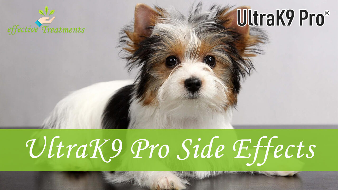 UltraK9 Pro Review For Dogs [James Thomas - The Truth]