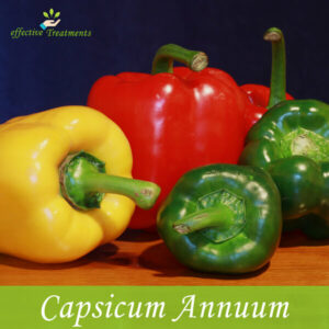 The 7 Capsicum Annuum Types & Their 7 Benefits For Your Body