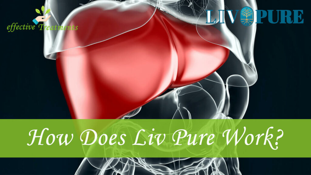 Liv Pure Review [Dan Saunders Mediterranean Ritual – Truth]