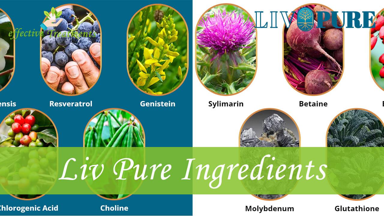 Liv Pure Review [Dan Saunders Mediterranean Ritual – Truth]