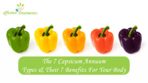 The 7 Capsicum Annuum Types & Their 7 Benefits For Your Body