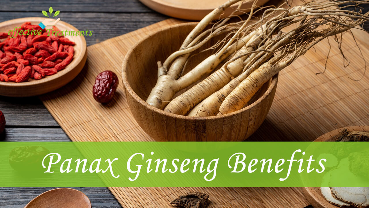 10 Crucial Panax Ginseng Health Benefits [ 5 Is Private]