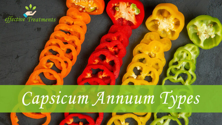 The 7 Capsicum Annuum Types & Their 7 Benefits For Your Body