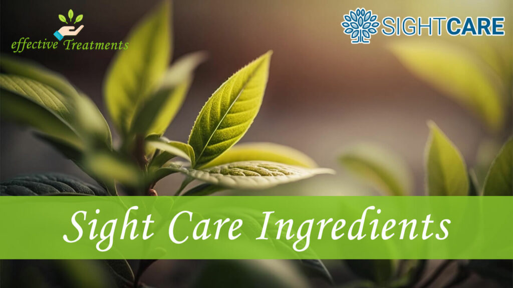 Sight Care Review For Vision Loss [David Lewis - The Truth]