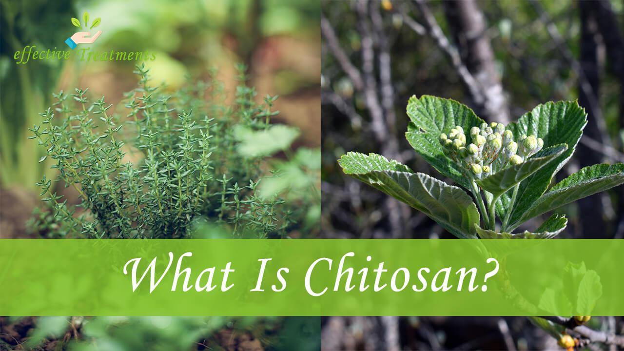 Top 5 Chitosan Health Benefits (That'll Change Your Health)