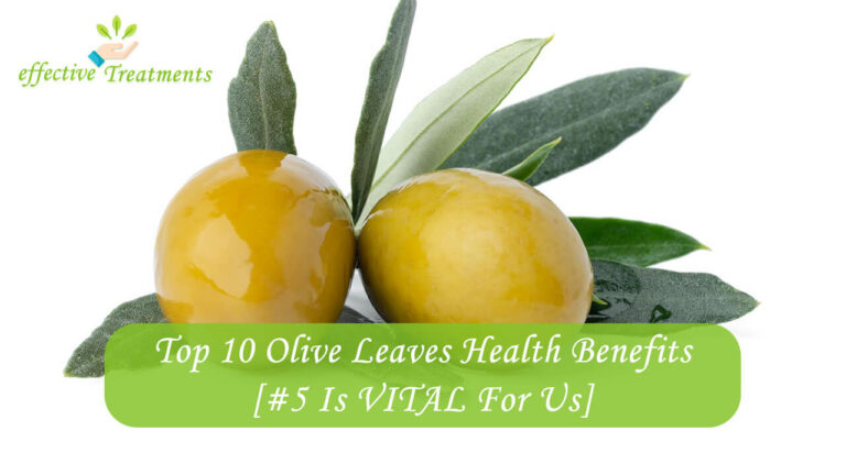 Top 10 Olive Leaves Health Benefits [#5 Is VITAL For Us]