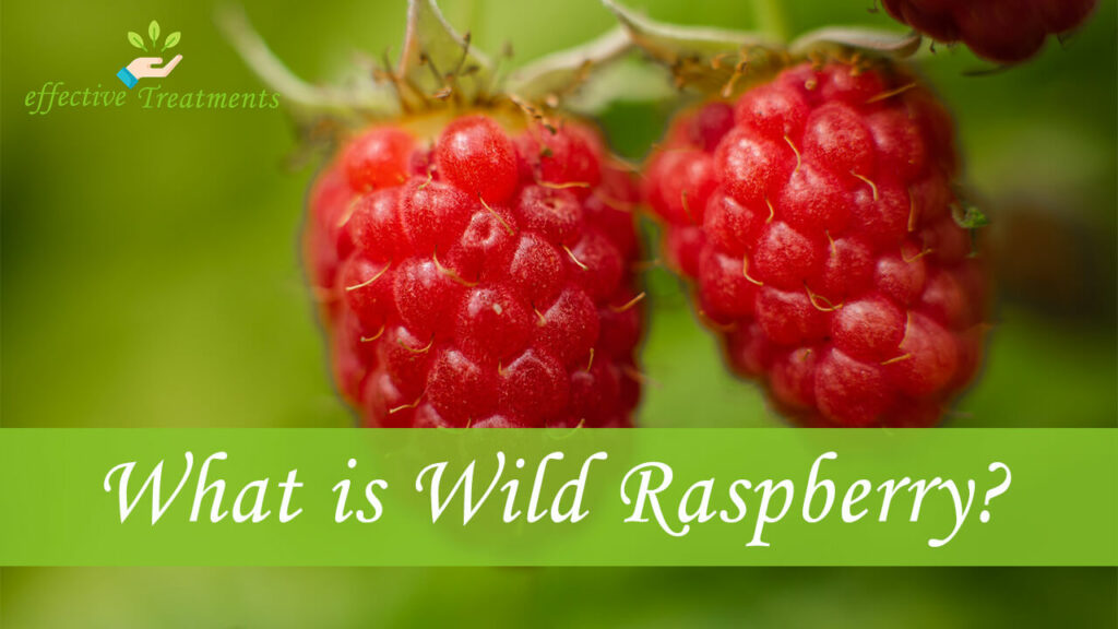 Top 7 Wild Raspberry Health Benefits Your Body Needs TODAY!