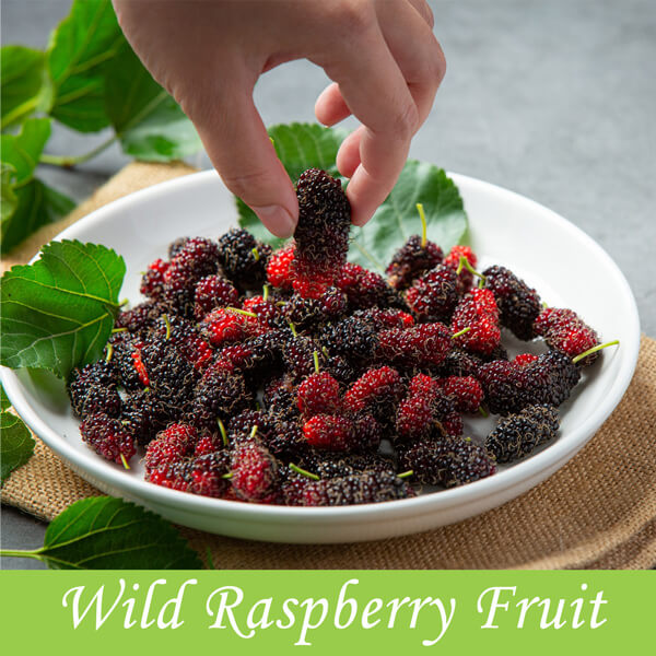 Top 7 Wild Raspberry Health Benefits Your Body Needs TODAY!