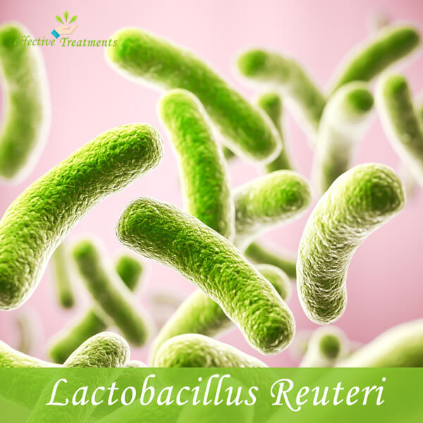 Top 10 Lactobacillus Reuteri Health Benefits [#4 Is Vital]