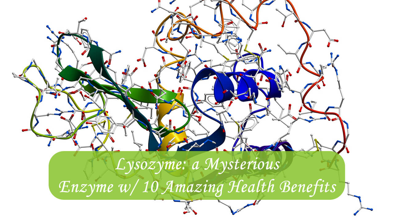 Lysozyme: a Mysterious Enzyme w/ 10 Amazing Health Benefits