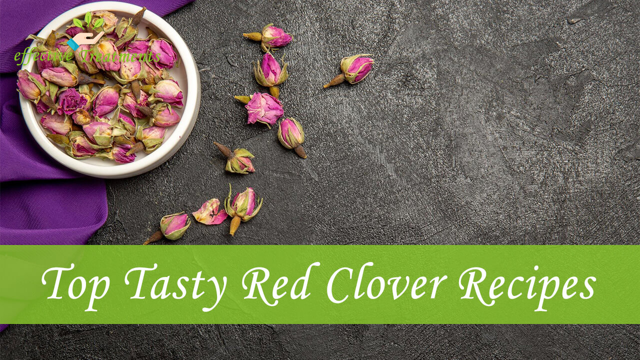 7 Top Red Clover Health Benefits Your Body Needs
