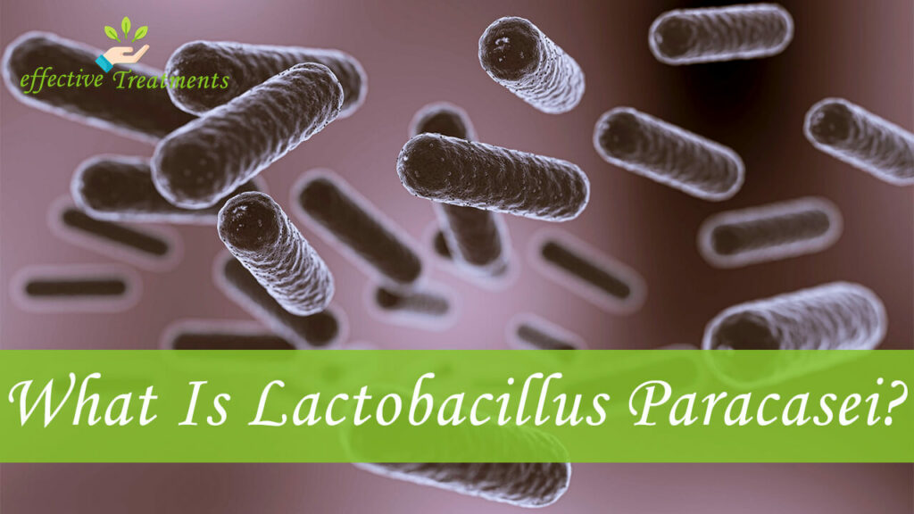 10 Amazing Health Benefits of Lactobacillus Paracasei for Your Body