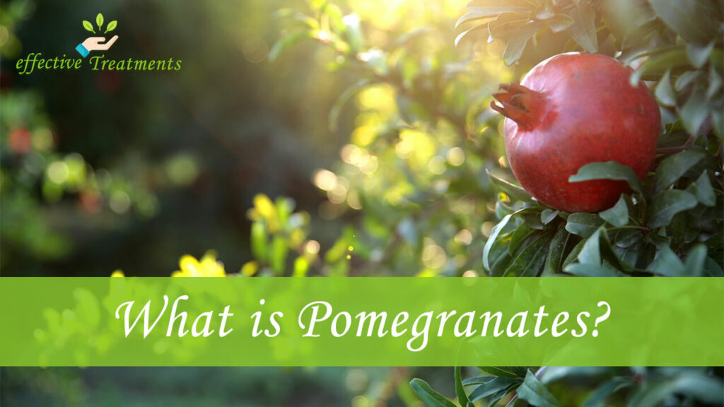 Pomegranates: Top 10 Health Benefits [CRUCIAL To Live Long]