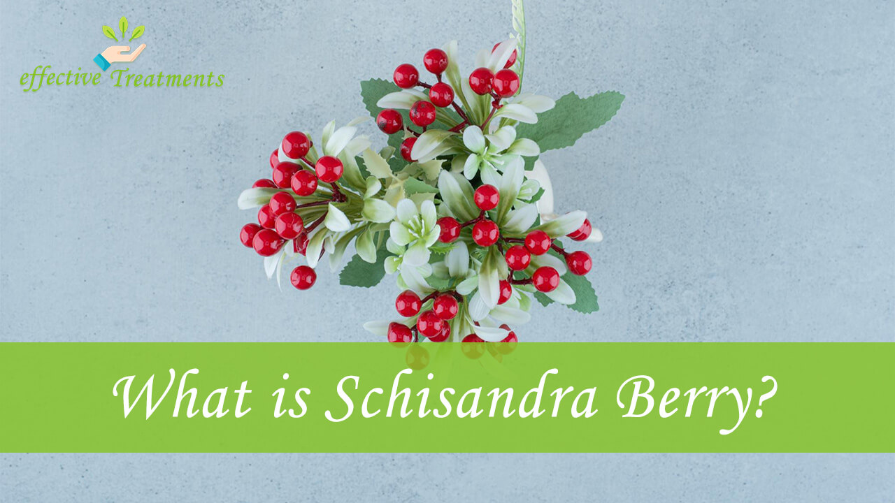 7 Schisandra Berry Health Benefits To Refresh Your Body