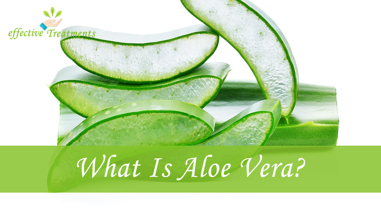 Aloe Vera: 10 Proven Benefits + Tasty Recipes + Where To Buy