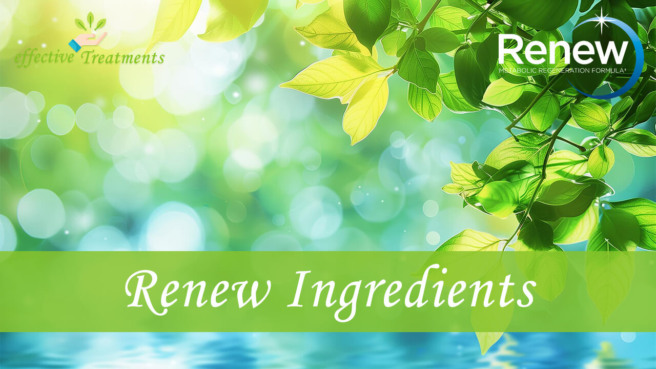 Renew Review [ James Miller | The STEALTHY Truth ]