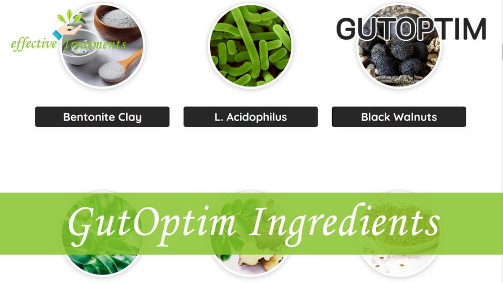 GutOptim Review [ Danny Michaels - The STEALTHY Swiss Truth]