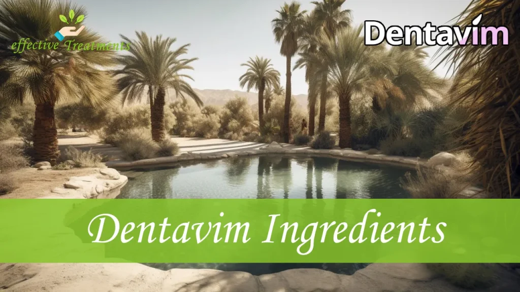 Dentavim Review [ Paul Davis | The STEALTHY Truth ]