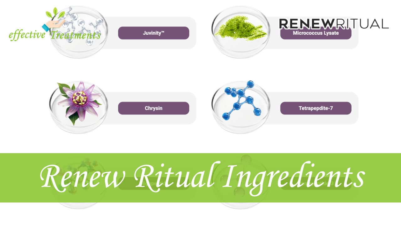 Renew Ritual Review [ Everett Sterling | The Truth ]